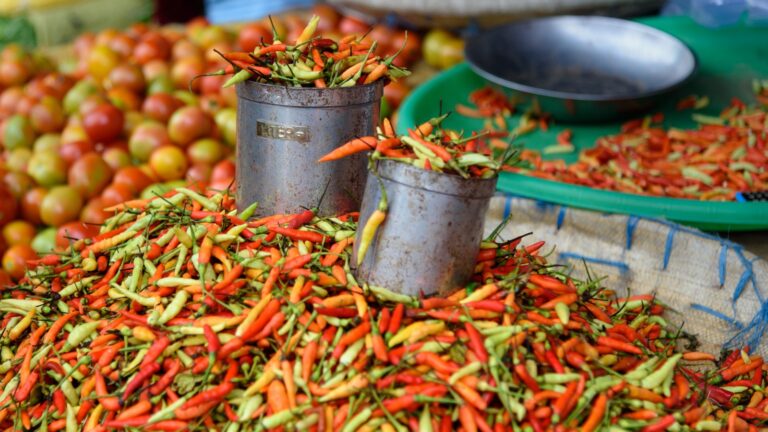 Harga Cabai Rawit Jelang Ramadhan Kian Tak Terkendali - Prosesnews.id